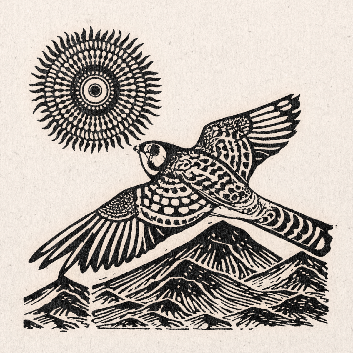'Taking Flight' Print – Real Fun, Wow!