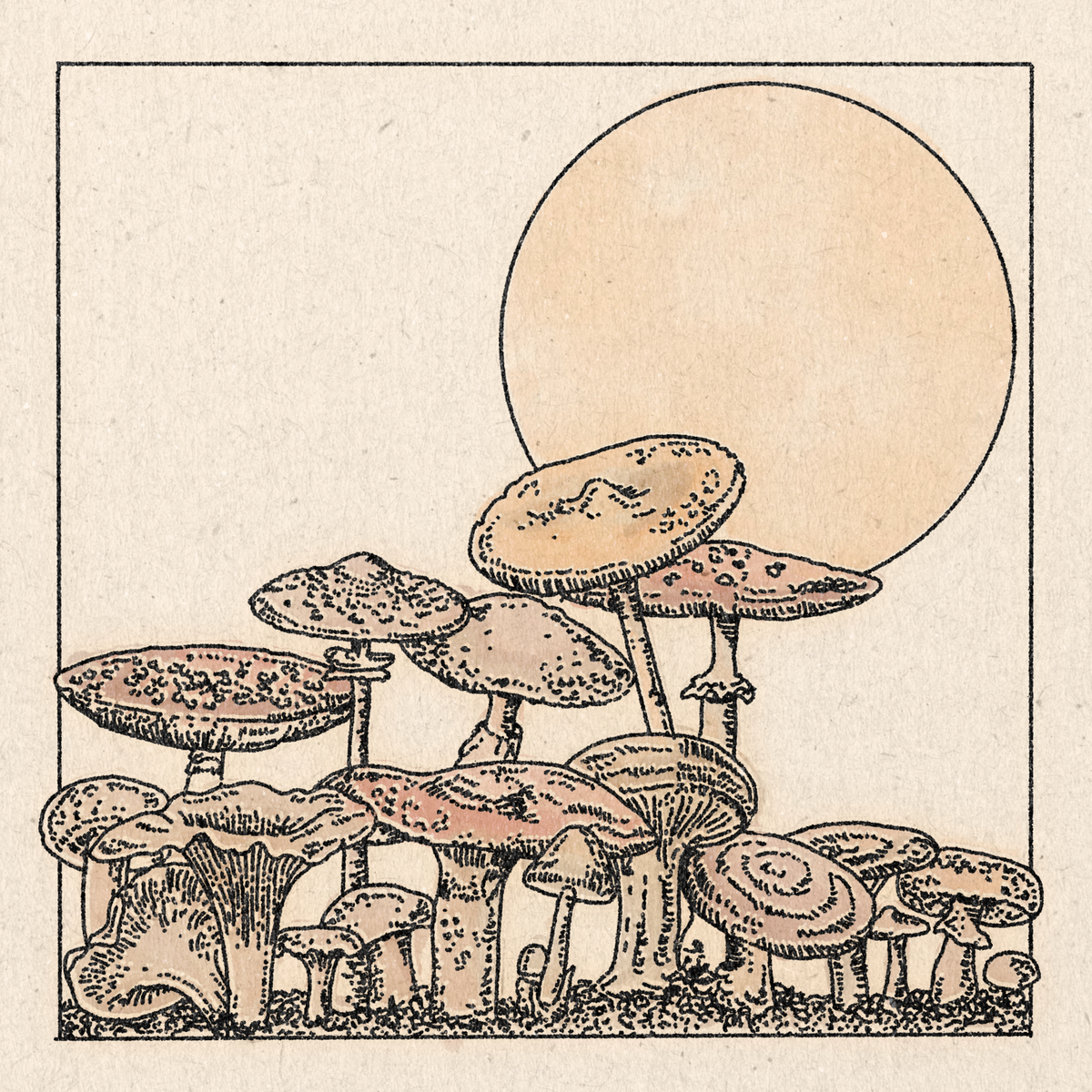 'Mushroom Garden no. 2’ Print – Real Fun, Wow!
